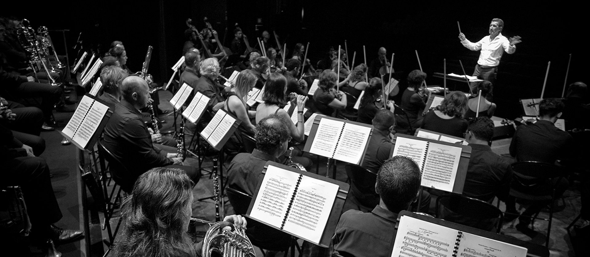 Spectacles | Théâtre Luc Donat